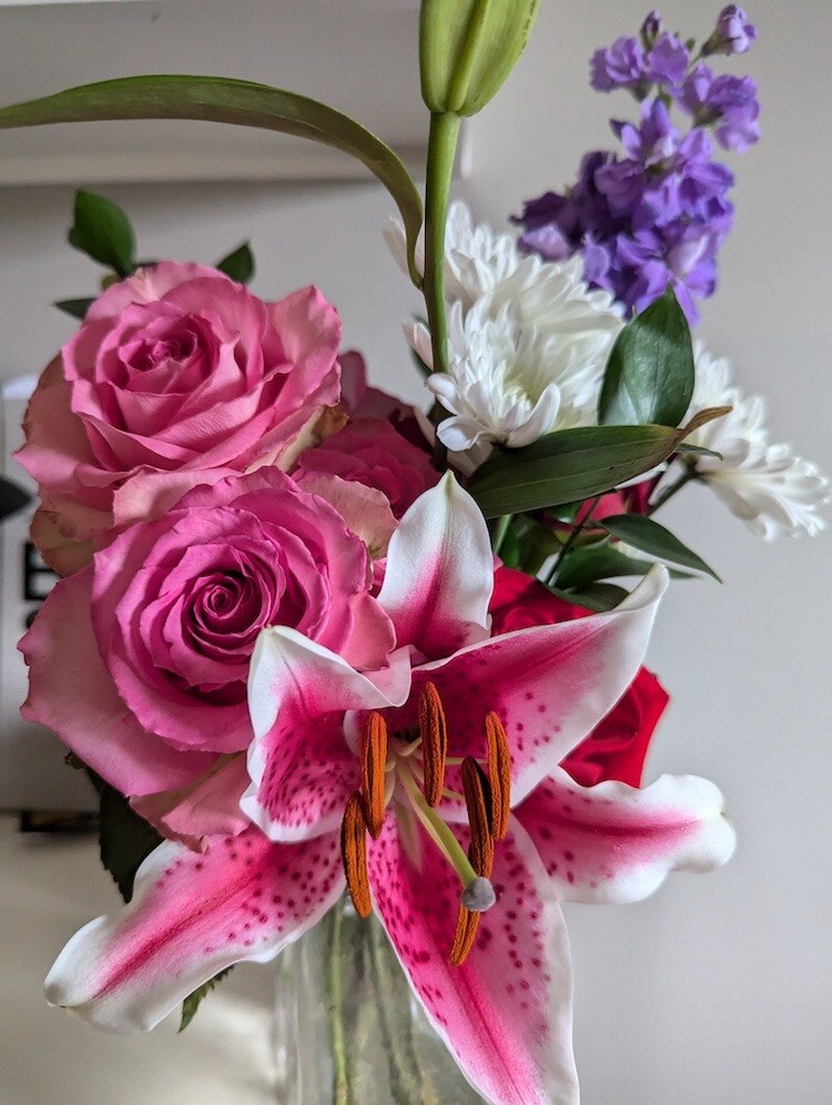 Death giving way to life